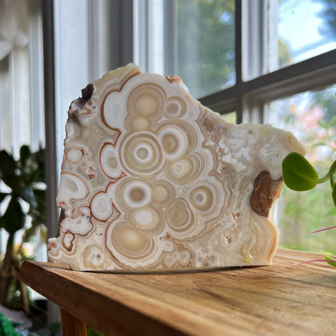 Travertine Kokoweef Cave Slab, Calcite Aragonite Stalactite Crystals ...