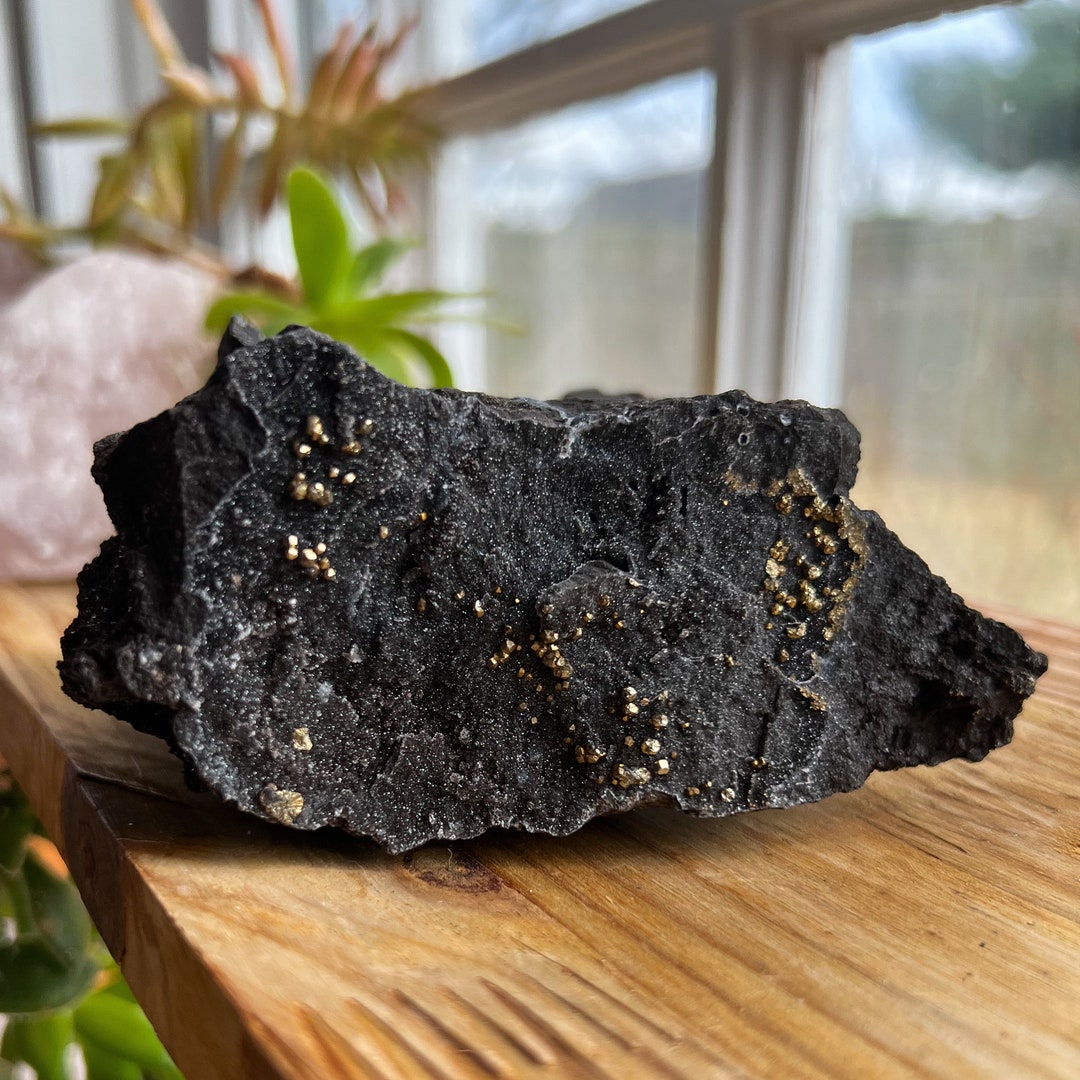 Rare Druzy Wood From Indonesia, Petrified Wood, Grounding, Sparkly ...