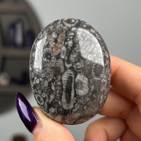 Fossil Stone - Etsy