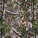 Real Tree Timber - Xtra Green - Branches Leaves Camouflage Camo - High ...