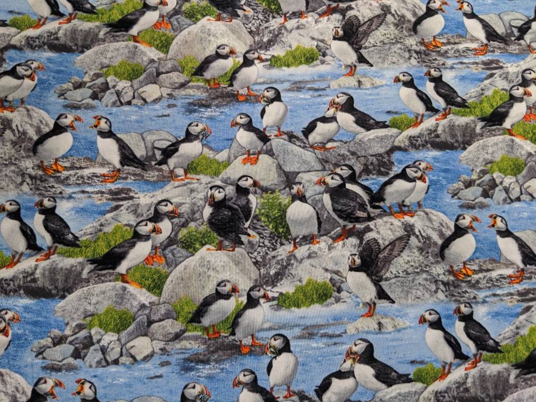 Puffins Beautiful High Quality Quilting Cotton 24 Inch End of Bolt - Etsy