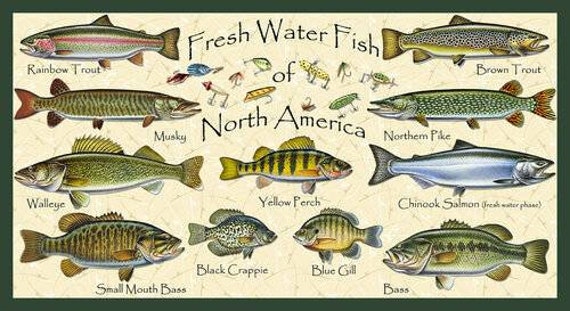 Freshwater Fish of North America Reel It in Fishing | Etsy