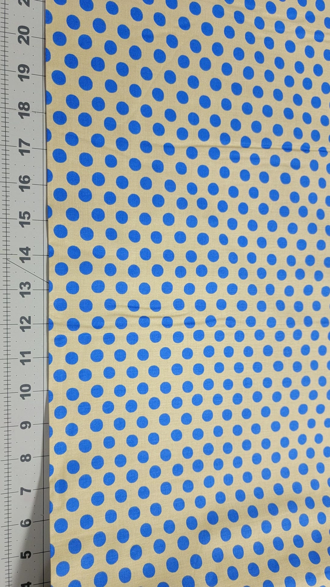 Spot Buff - Tan and Blue - Kaffe Fassett Collective - Beautiful Quilt ...
