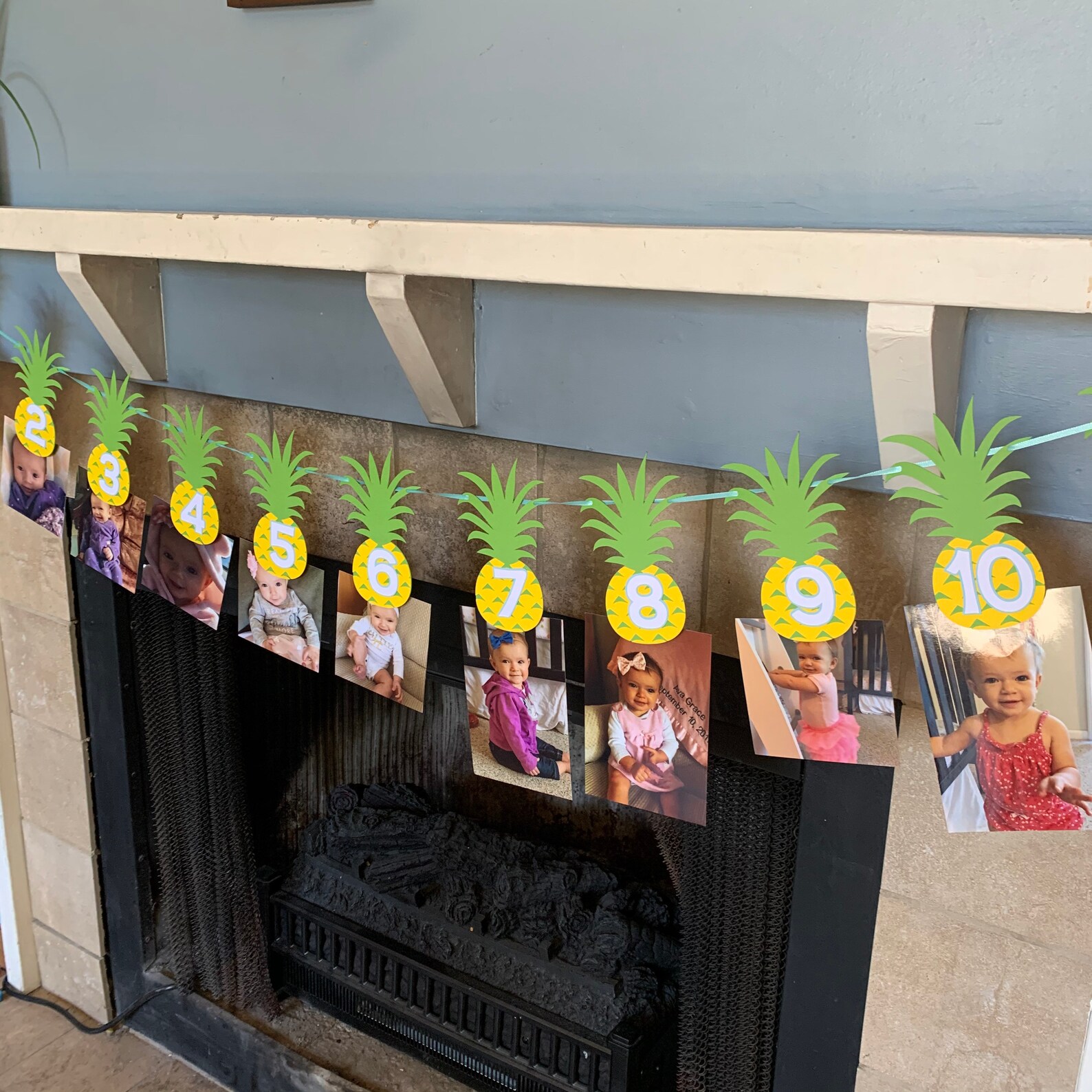 Pineapple Photo Banner BLUE Pineapple Birthday Decorations | Etsy