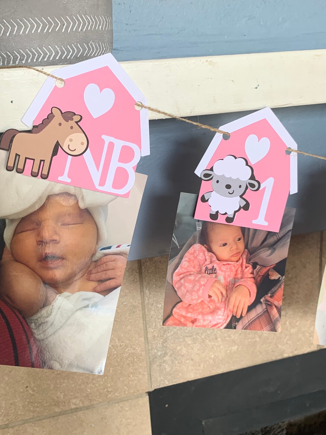 PINK Farm Theme Photo Banner farm Monthly Photo Banner farm - Etsy