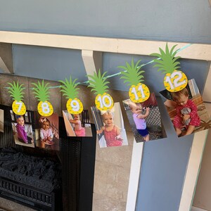 Pineapple Photo Banner BLUE- Pineapple Birthday Decorations- Pineapple ...