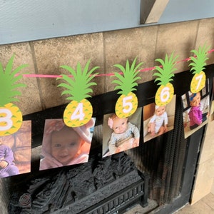 Pineapple Photo Banner PINK- Pineapple Birthday Decorations- Pineapple ...