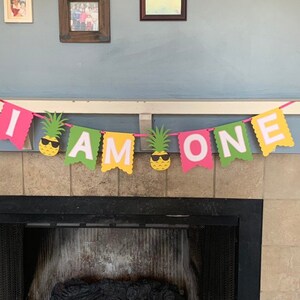 Pineapple Banner - Pineapple Birthday Decorations - Pineapple First ...