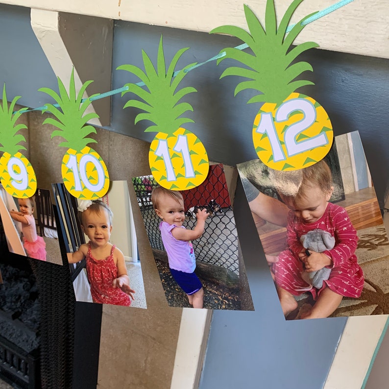 Pineapple Photo Banner BLUE- Pineapple Birthday Decorations- Pineapple ...