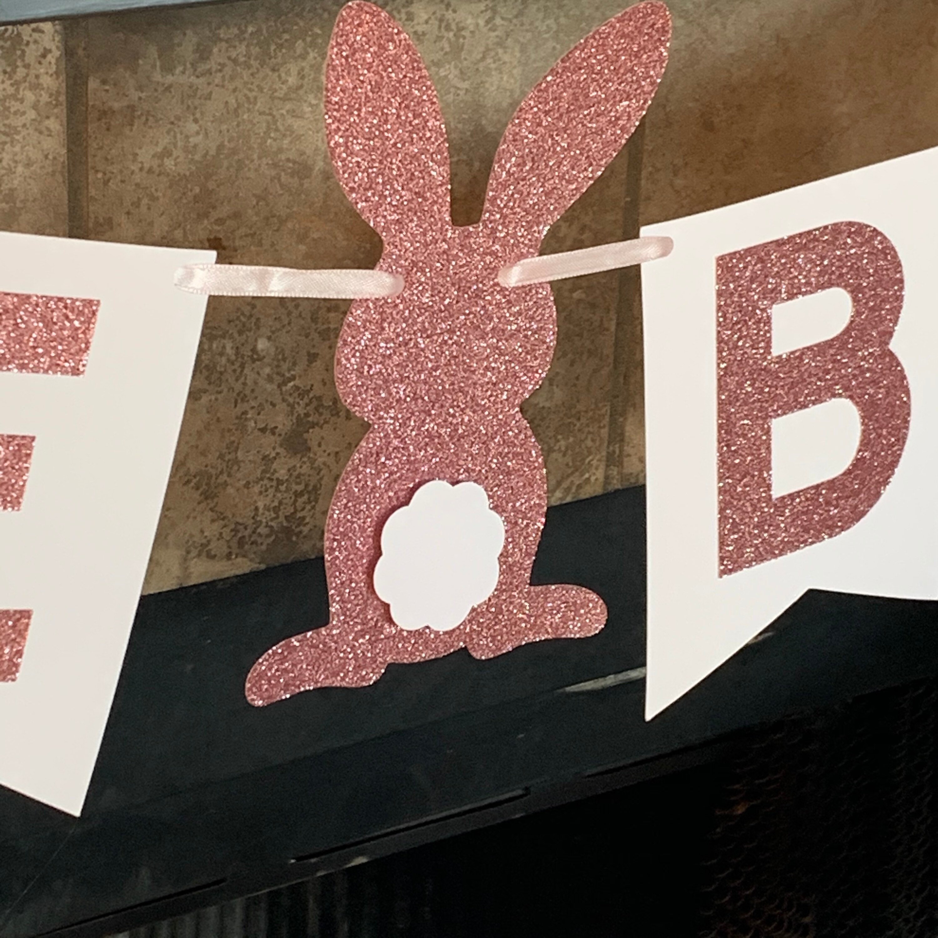 Some Bunny is One Banner Some Bunny Birthday Some Bunny | Etsy