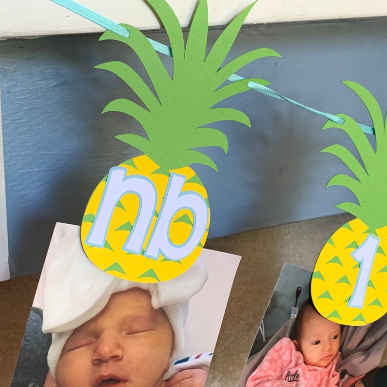 Pineapple Photo Banner BLUE- Pineapple Birthday Decorations- Pineapple ...