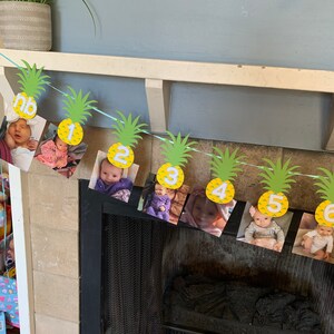 Pineapple Photo Banner BLUE- Pineapple Birthday Decorations- Pineapple ...