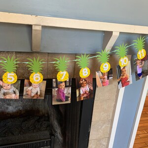 Pineapple Photo Banner BLUE- Pineapple Birthday Decorations- Pineapple ...