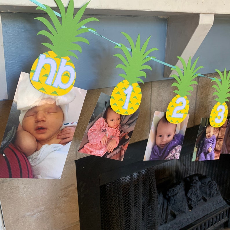 Pineapple Photo Banner BLUE Pineapple Birthday Decorations | Etsy