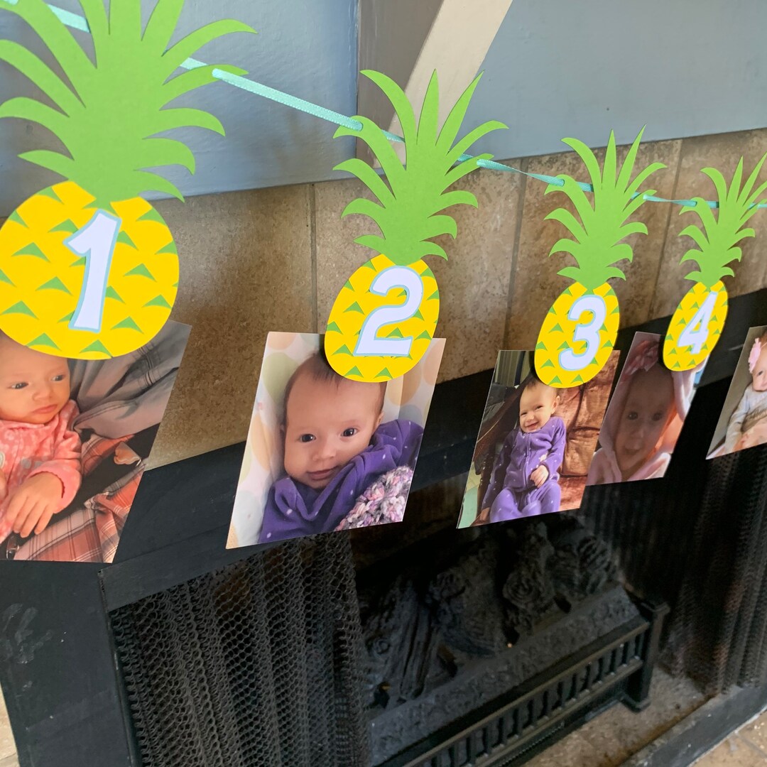 Pineapple Photo Banner BLUE- Pineapple Birthday Decorations- Pineapple ...