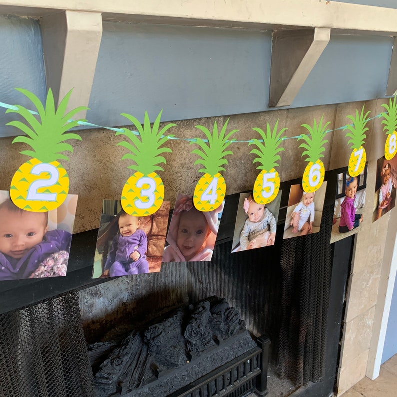 Pineapple Photo Banner BLUE- Pineapple Birthday Decorations- Pineapple ...