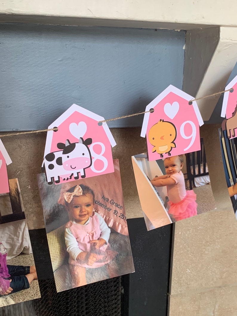 PINK Farm Theme Photo Banner farm Monthly Photo Banner farm - Etsy