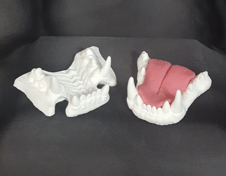 Big Cat Resin Clean Cast Teeth Jawset for Making Cosplay Animal Fursuit ...