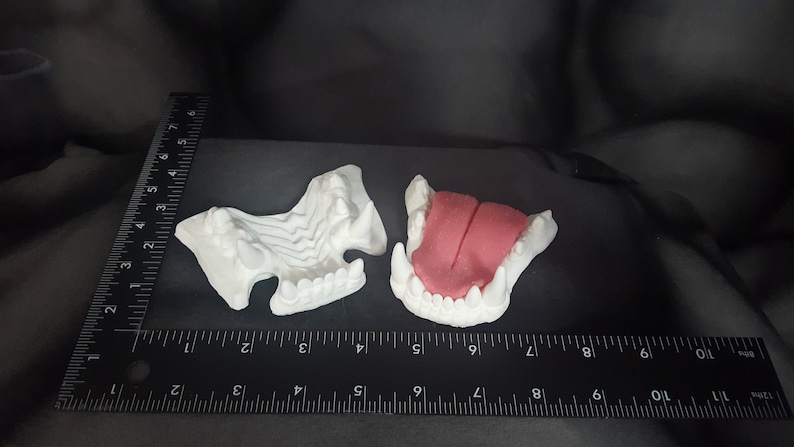 Realistic Fursuit Teeth for Fursuit Base Moving Jaw Full - Etsy