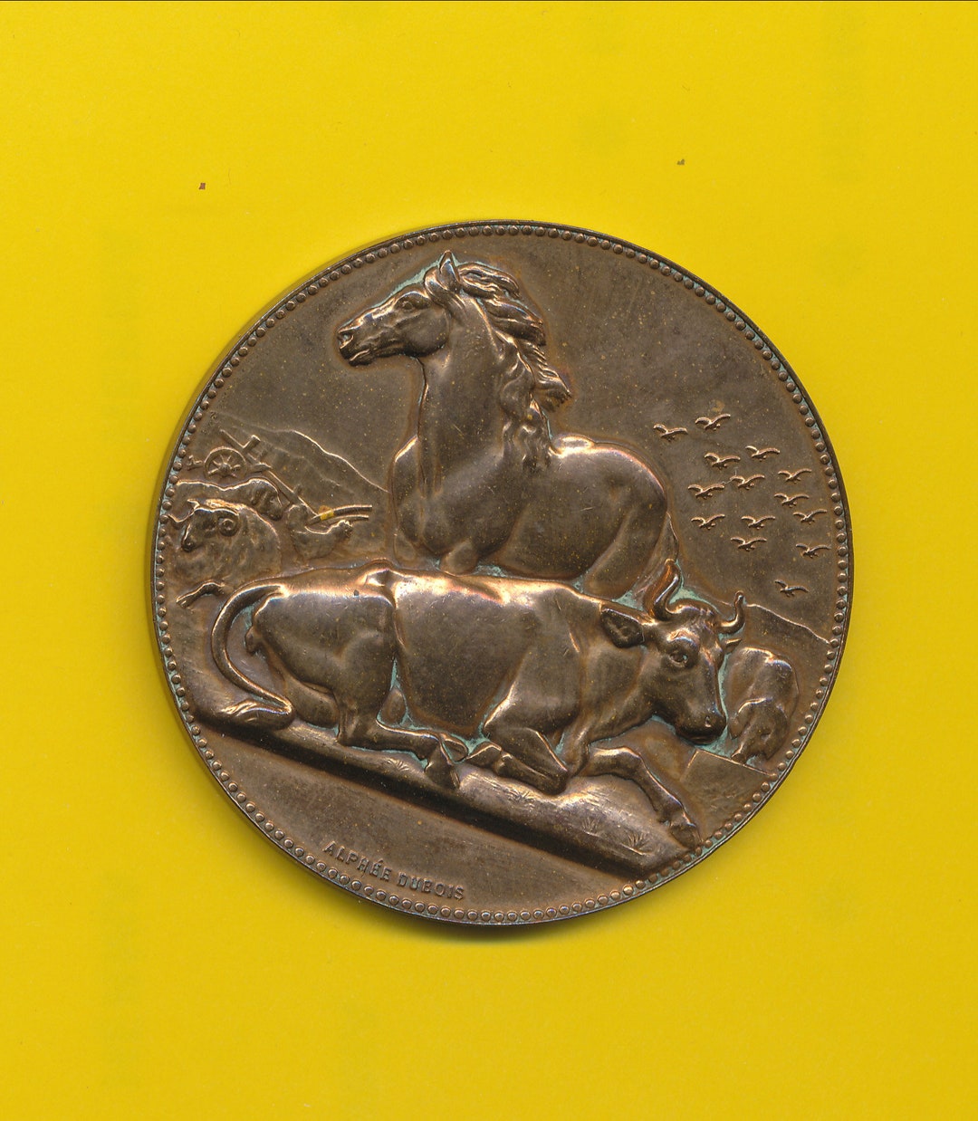 Large Bronze Art Medal by A Dubois Representing Horse - Cow - Pig ...