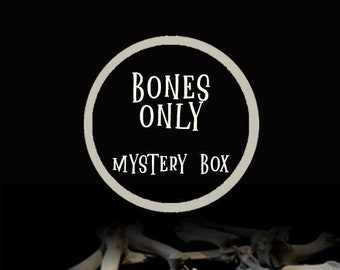 Mystery Box Vulture Culture Skull Box Oddity Box - Etsy