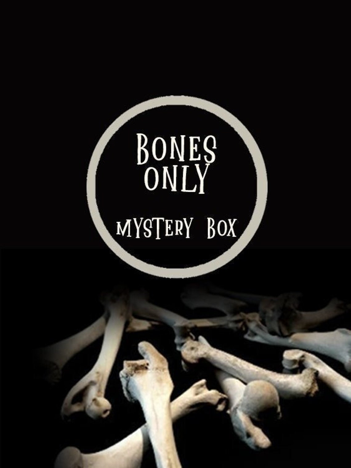 Bones Mystery Box Curiosity Mystery Box Vulture Culture - Etsy