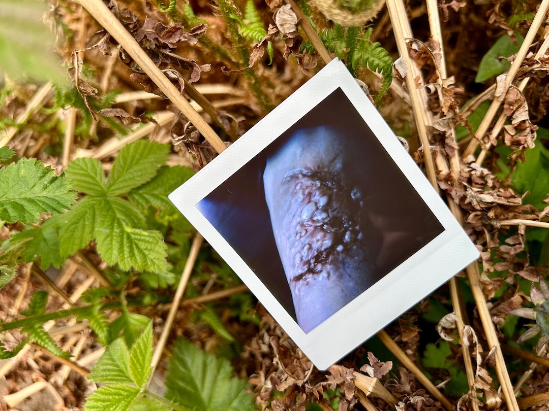 The Last Of Us Ellies Bite Polaroid Etsy