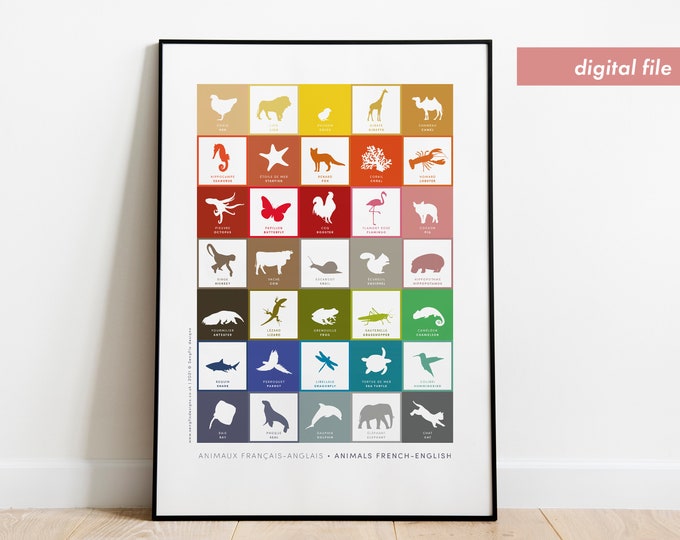 Bilingual Learning Cards and Prints for by SweetPamplemousseUK