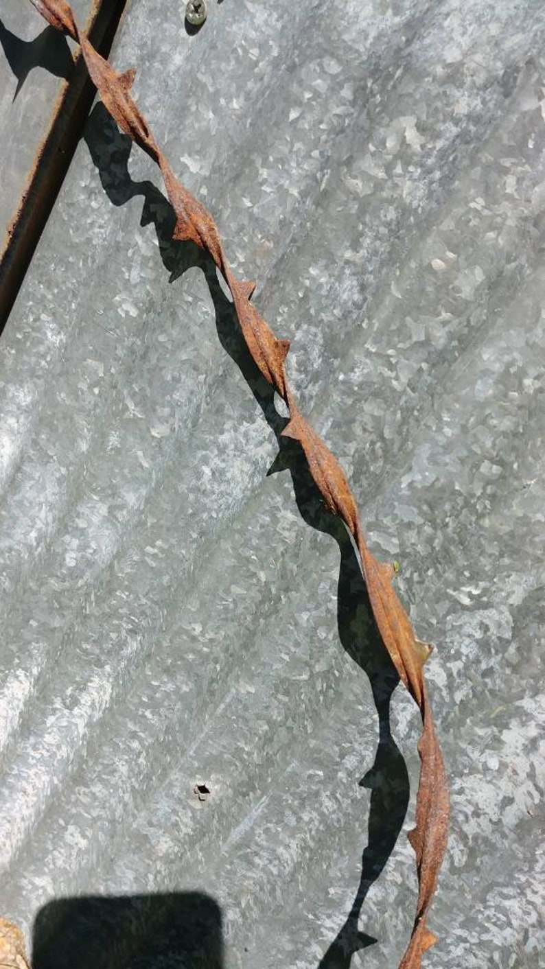 Antique 1881 Allis Barbed Wire Listing is for 10 Pieces 24 - Etsy