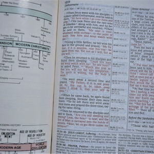 Vintage NIV Disciples Study Bible or Complete Greek Word Study ...