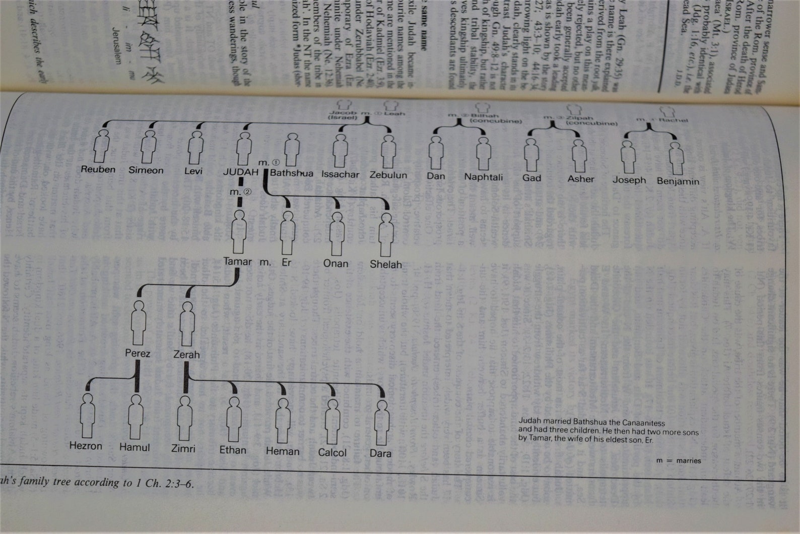 Vintage Holy Bible Dictionary Text Clarified by Maps Family - Etsy