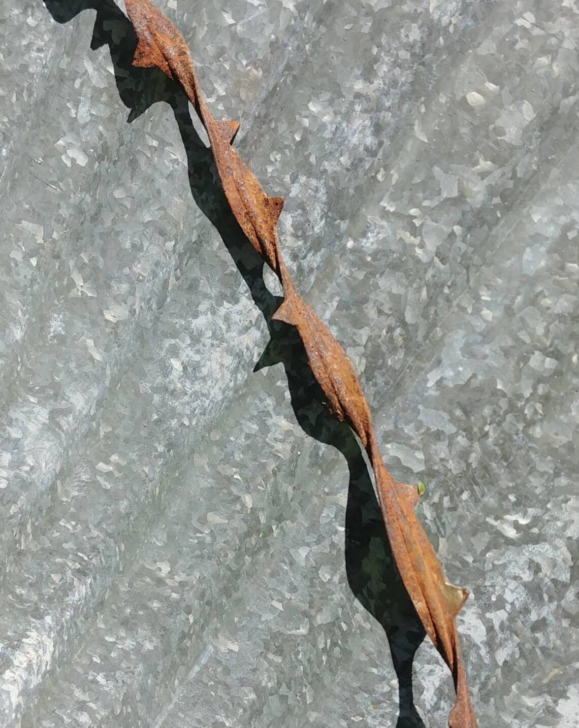 Antique 1881 Allis Barbed Wire Listing is for 10 Pieces 24 - Etsy