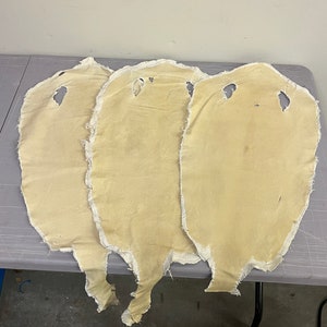 Jumbo Undyed Crust Stingray Leather for Leather Craft 26 Inch by 14 ...