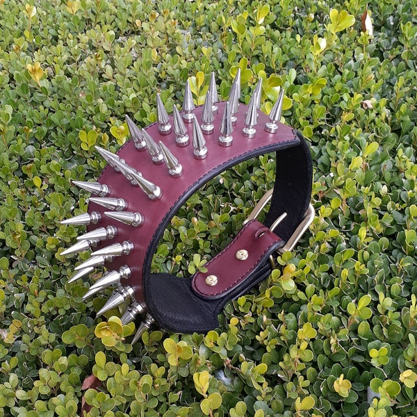 Spiked Dog Collar - Etsy
