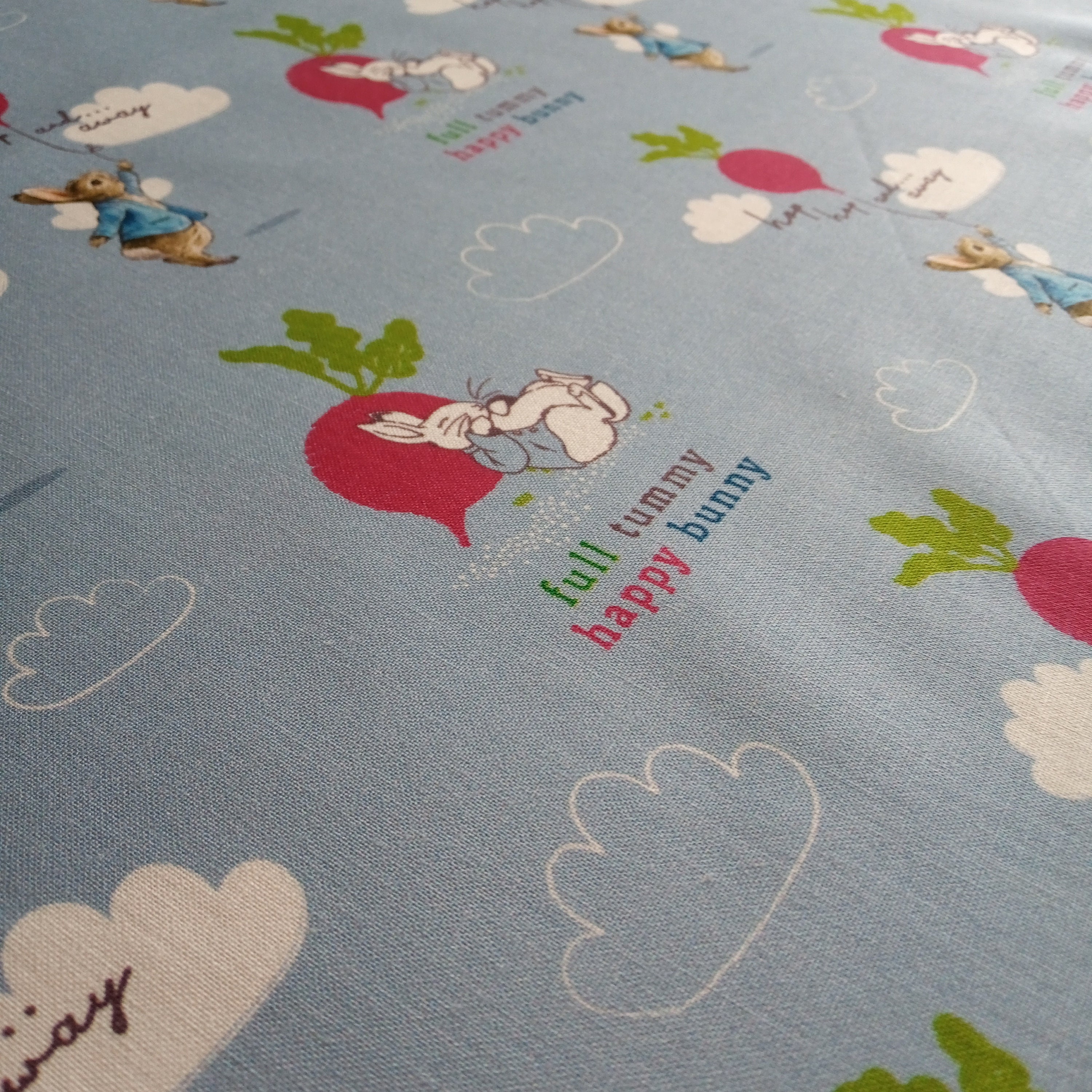 Peter Rabbit Cotton Fabric Garden Path Crafty Baba Fabrics