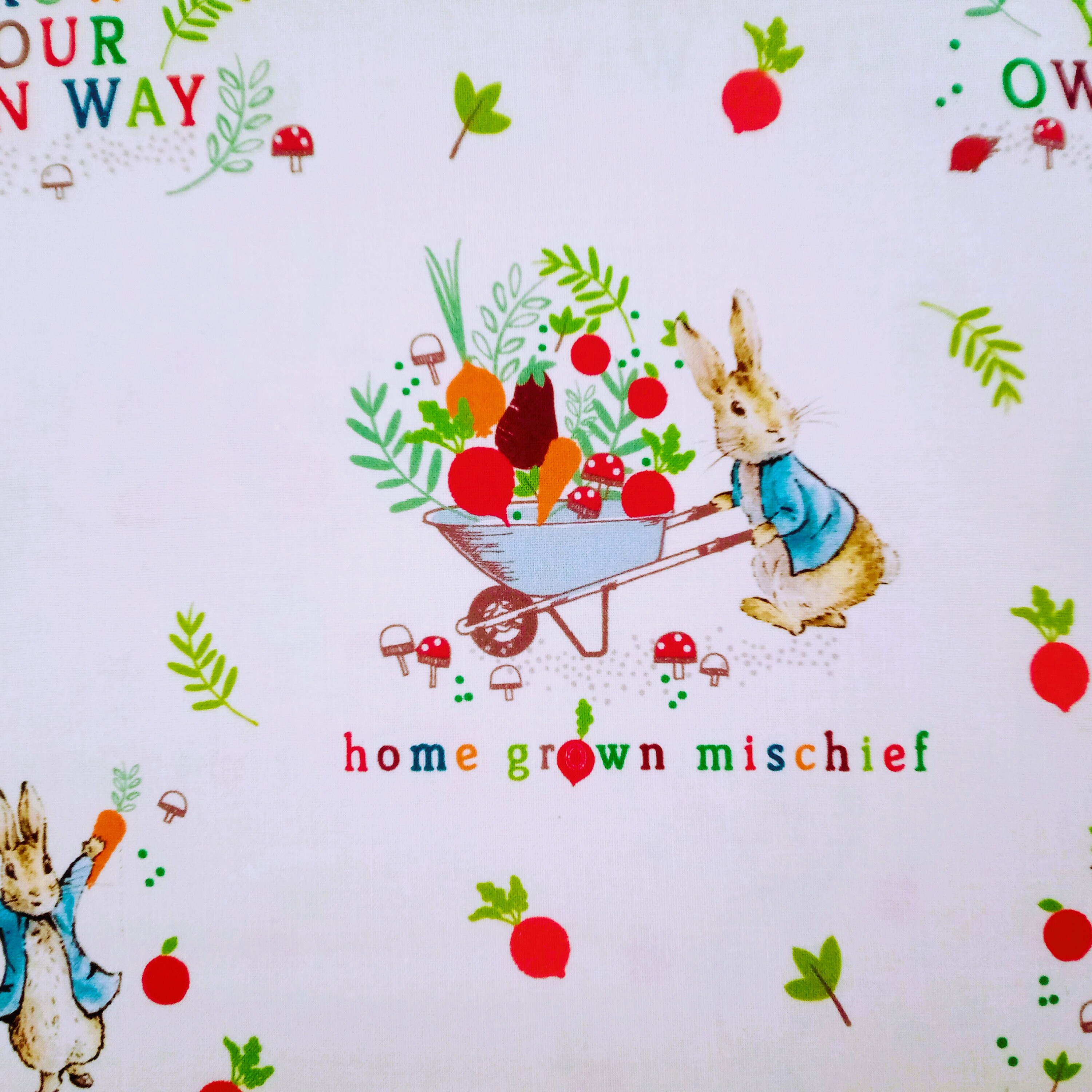 Peter Rabbit Cotton Fabric Garden Path Crafty Baba Fabrics