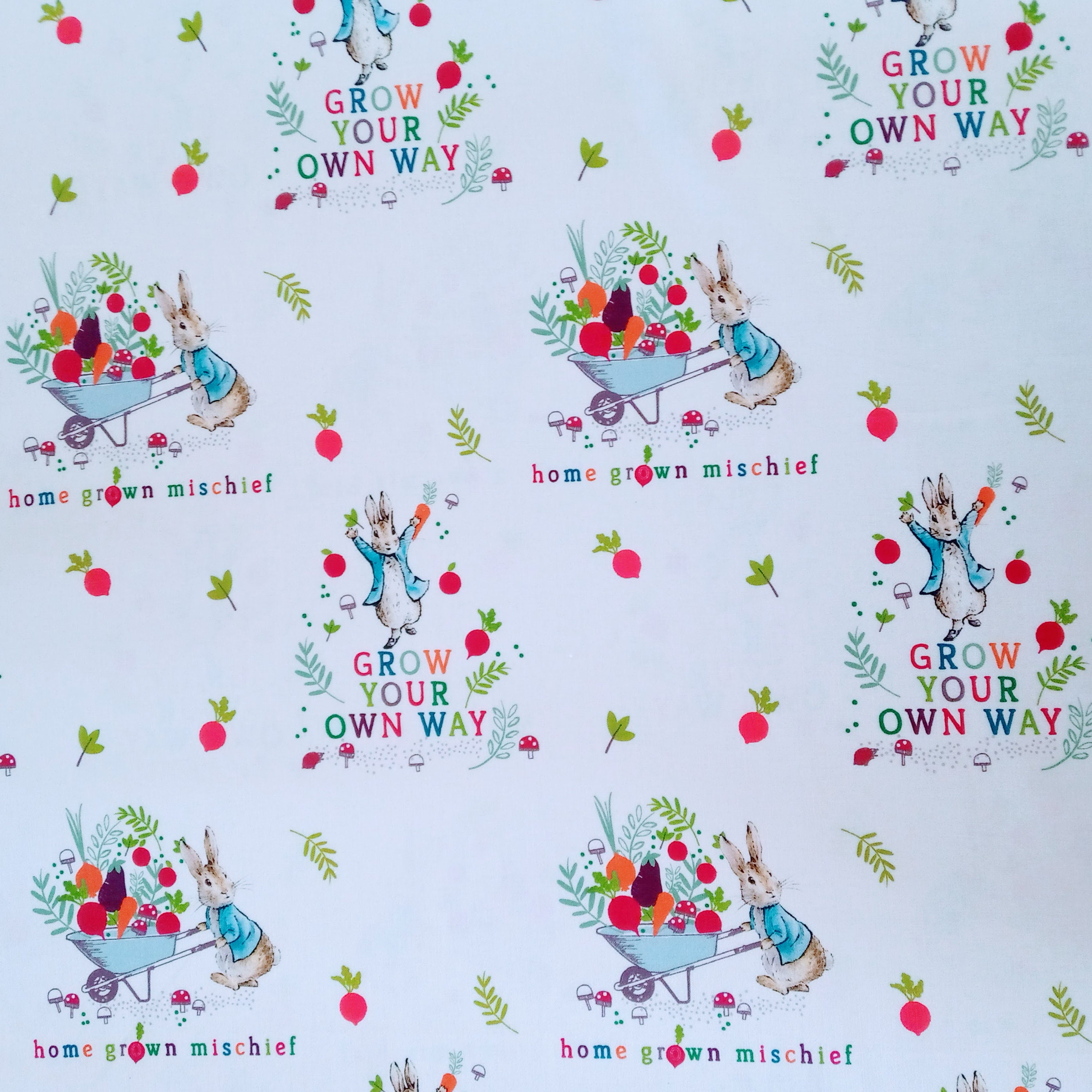 Peter Rabbit Cotton Fabric Garden Path Crafty Baba Fabrics
