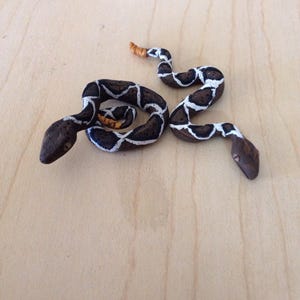 Rattlesnake Miniature Hand Sculpted Polymer Clay Southwest Fairy Garden ...
