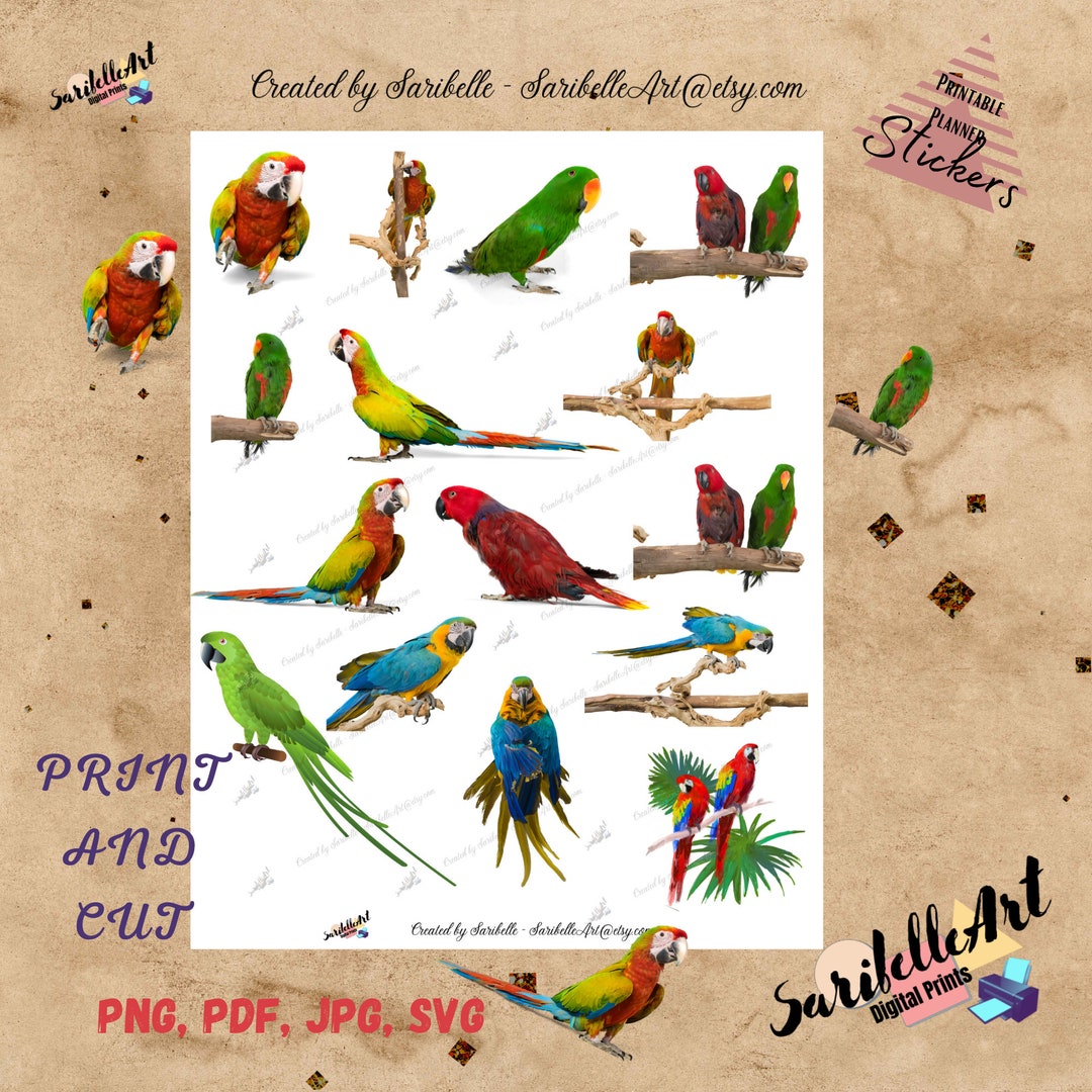 Parrots Printable Stickers, Daily Journal Stickers - Etsy