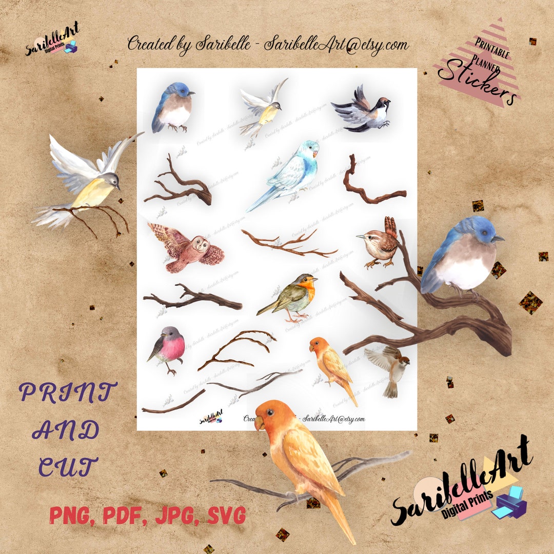 Birds Printable Stickers, Daily Journal Stickers - Etsy