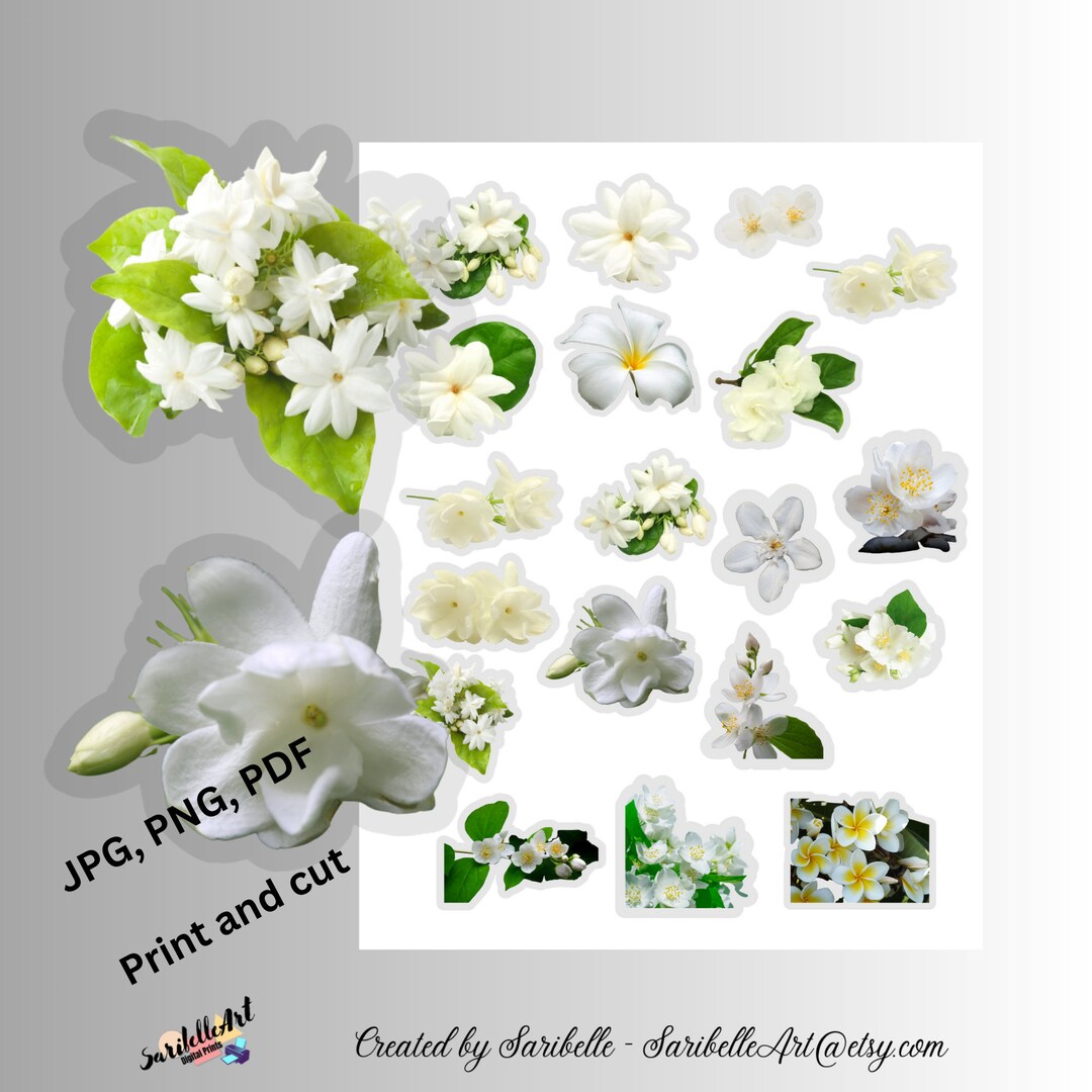 Jasmine Printable Stickers, Print and Cut Stickers - Etsy