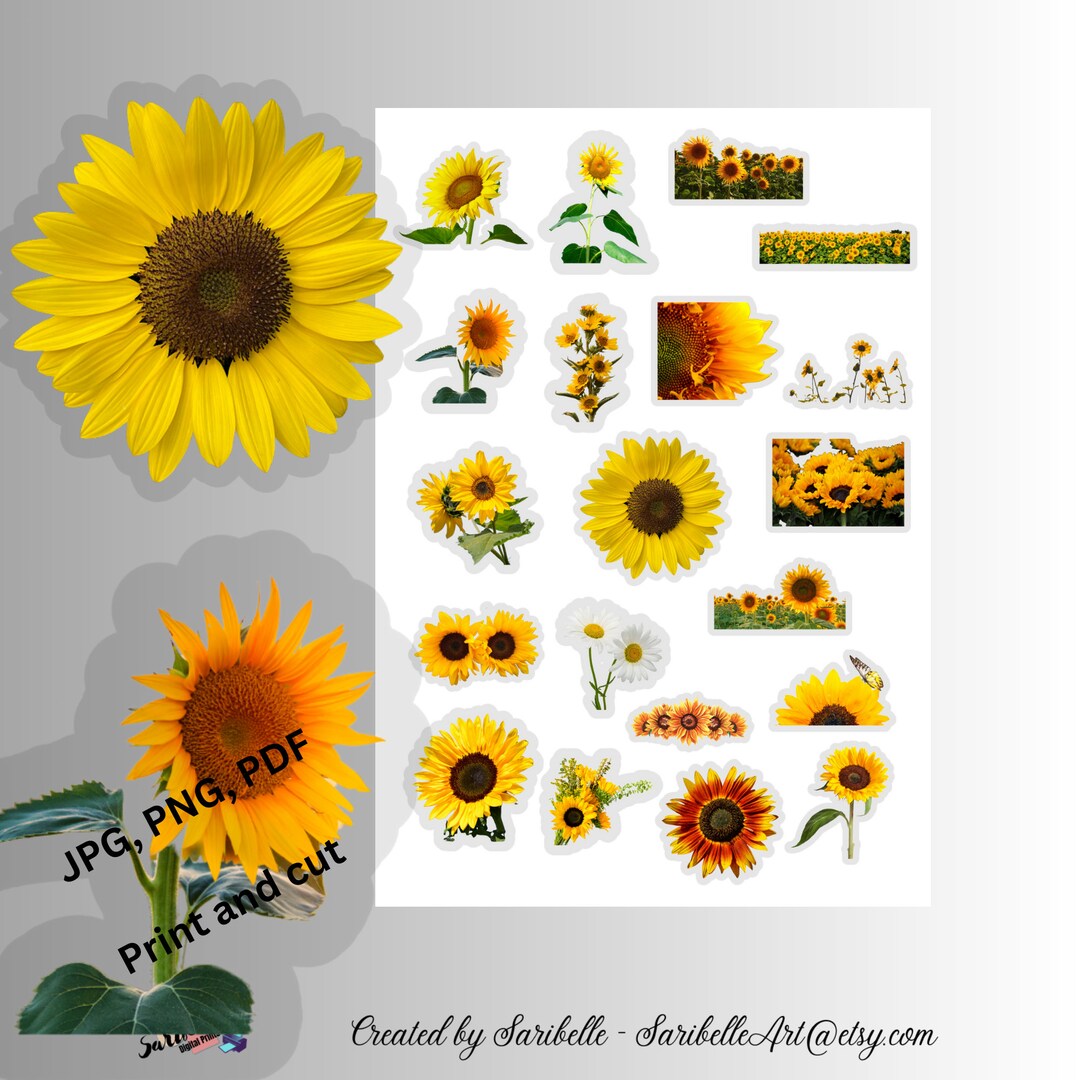 Sunflowers Printable Stickers, Print and Cut Stickers - Etsy