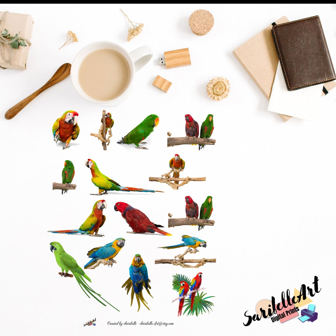 Parrots Printable Stickers, Daily Journal Stickers - Etsy