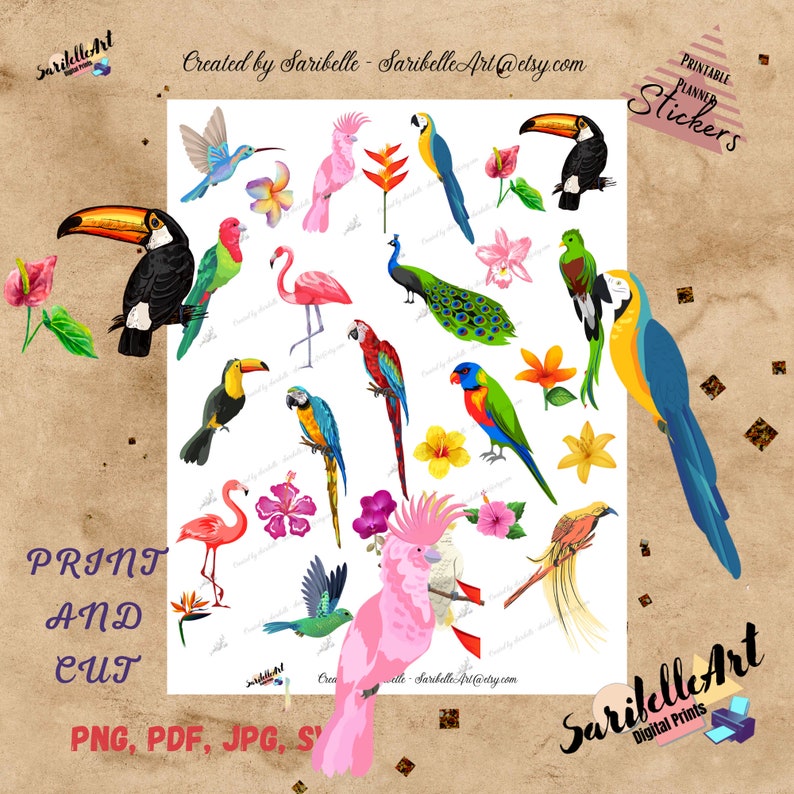 Exotic Birds Printable Stickers, Printable Sticker Sheet, Print and Cut ...