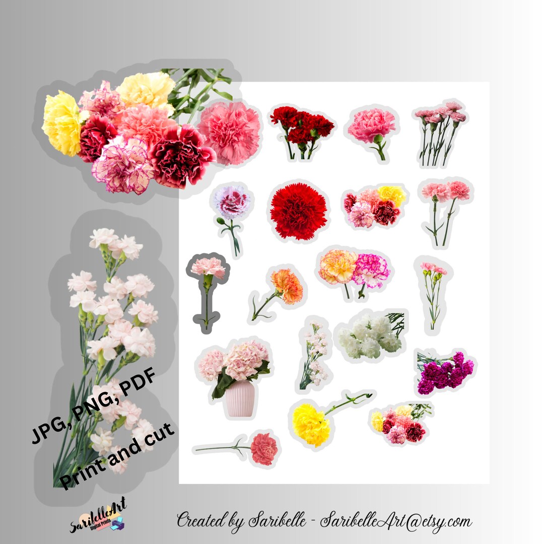 Carnation Flowers Printable Stickers, Print and Cut Stickers - Etsy