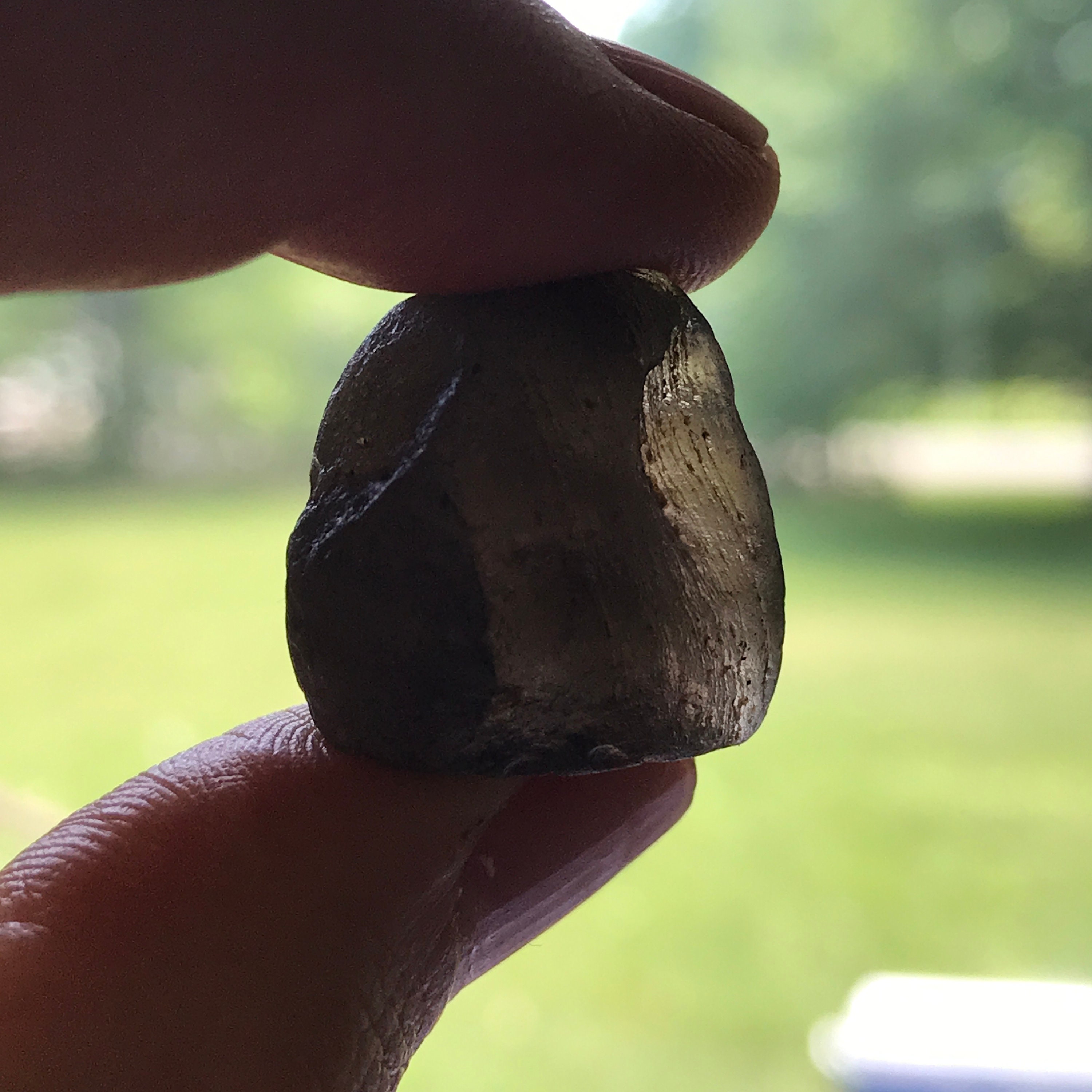 Colombianite Specimen // Authentic Raw Colombian Tektite | Etsy