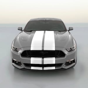 Ford Mustang 10" Vinyl Rally Stripes Racing Stripe Kit - Multiple ...