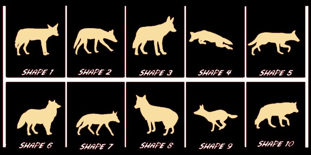 Smooth Laser Cut Jackal Shape Set 1 - Unfinished Cutout - Many Sizes ...