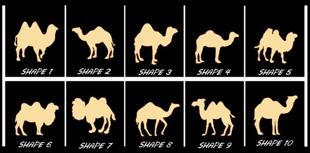 Smooth Laser Cut Camel Shape Set 1 - Unfinished Cutout - Many Sizes ...