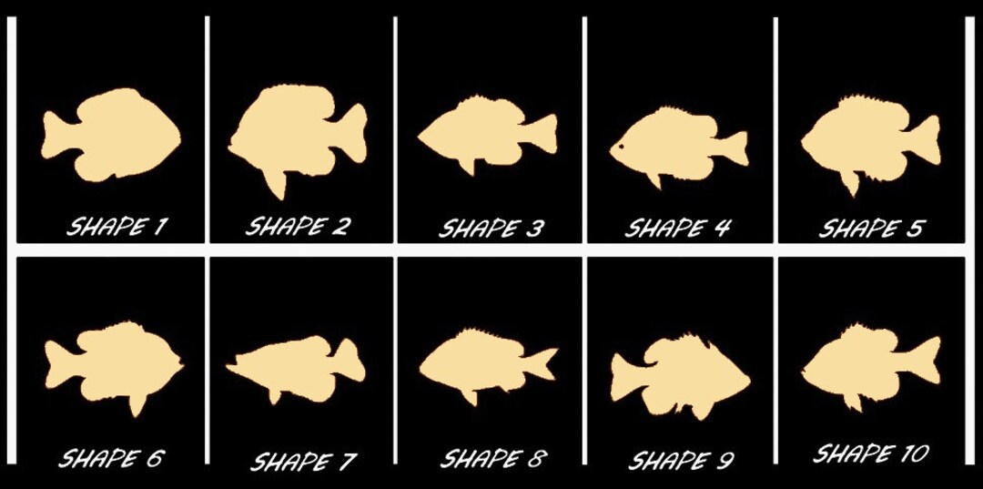 Smooth Laser Cut Bluegill Fish Shape Set 1 - Unfinished Cutout - Many ...